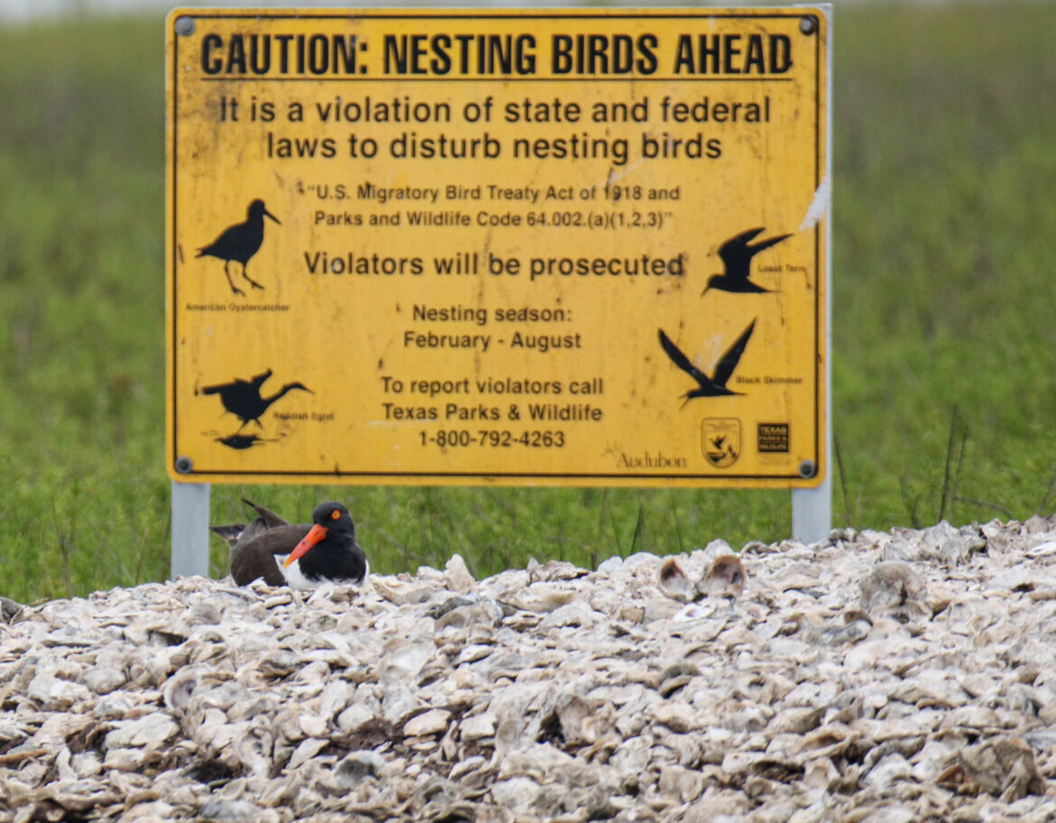 See the big yellow sign? – The Post Newspaper