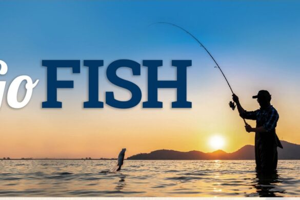 Fishing Forecast – The Post Newspaper